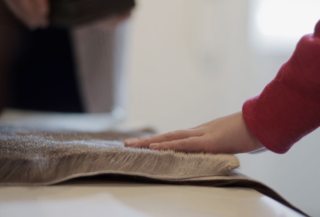 Themed tour: Hibernation