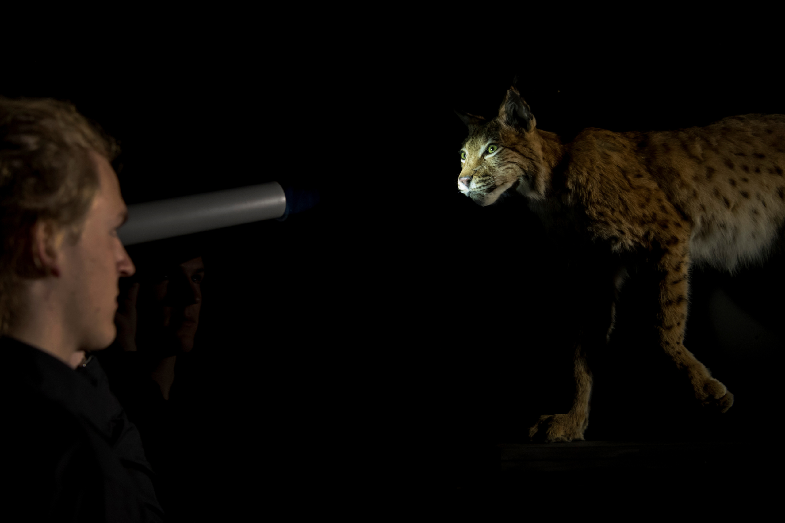 The wilder side of the canton of Basel-Landschaft. On the trail of ...