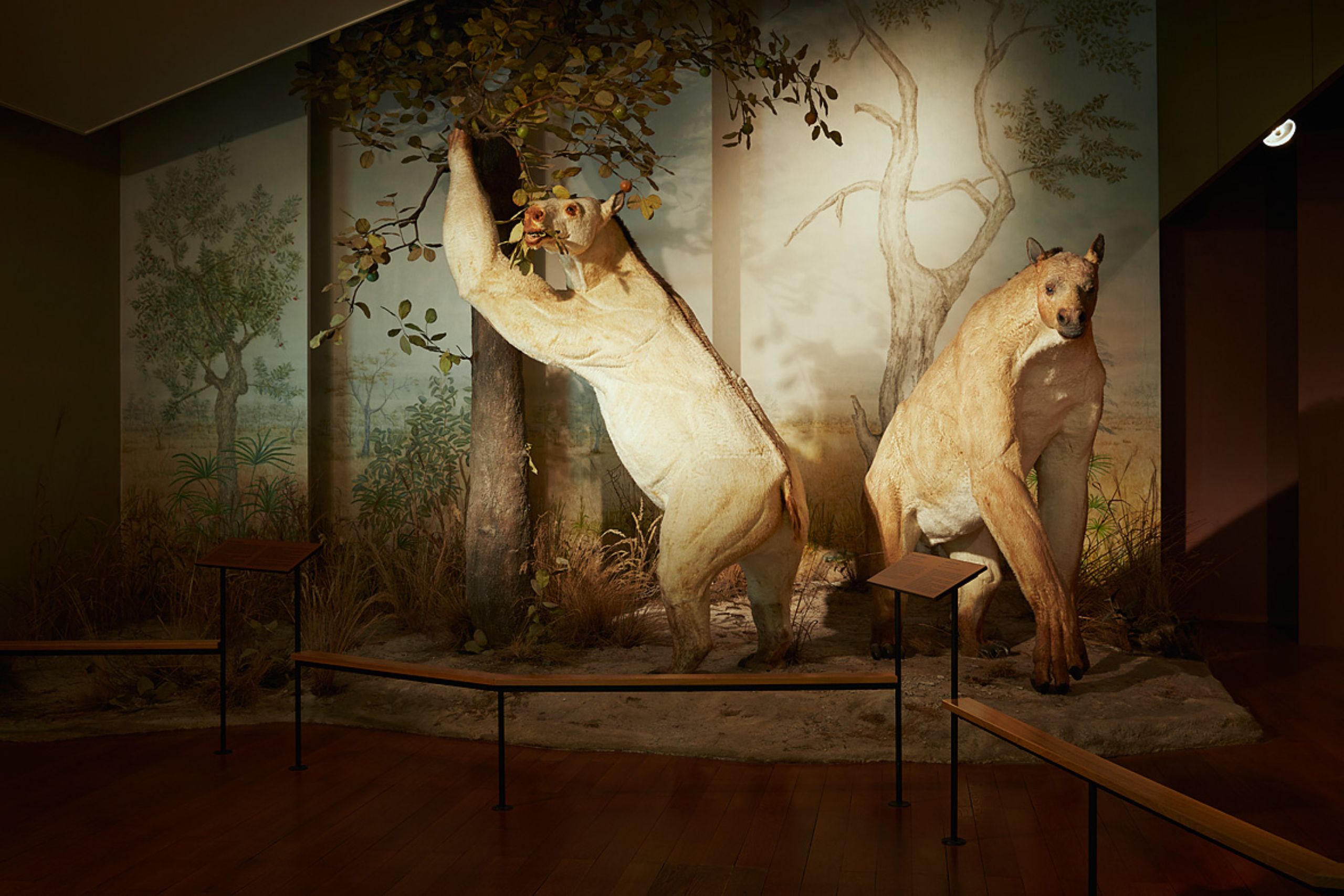 Mammoth & Sabre-Toothed Tiger – In a Land before our Time