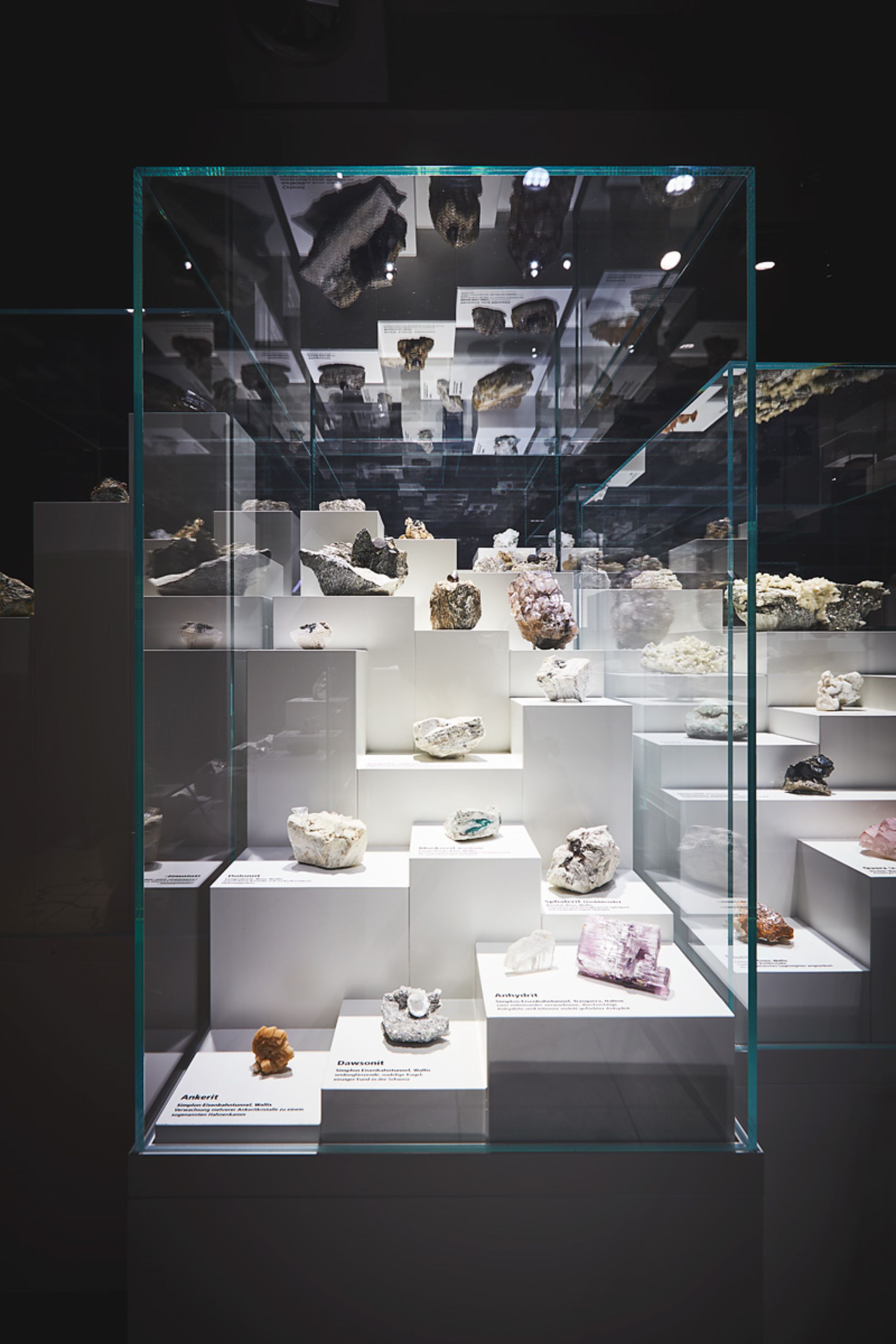 Schauplatz Natur – Vögel, Säugetiere & Mineralien der Schweiz